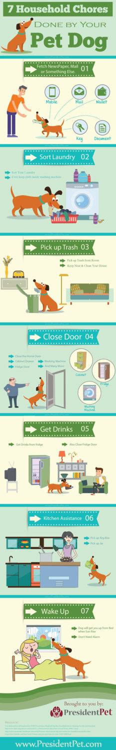 7 Chores You Can Train Your Dog To Do | HealthyPets Blog