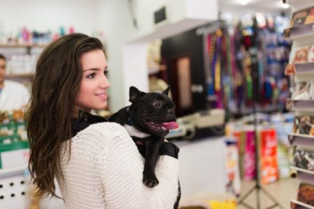 35 Stores Where Your Dog Can Shop With You | HealthyPets Blog