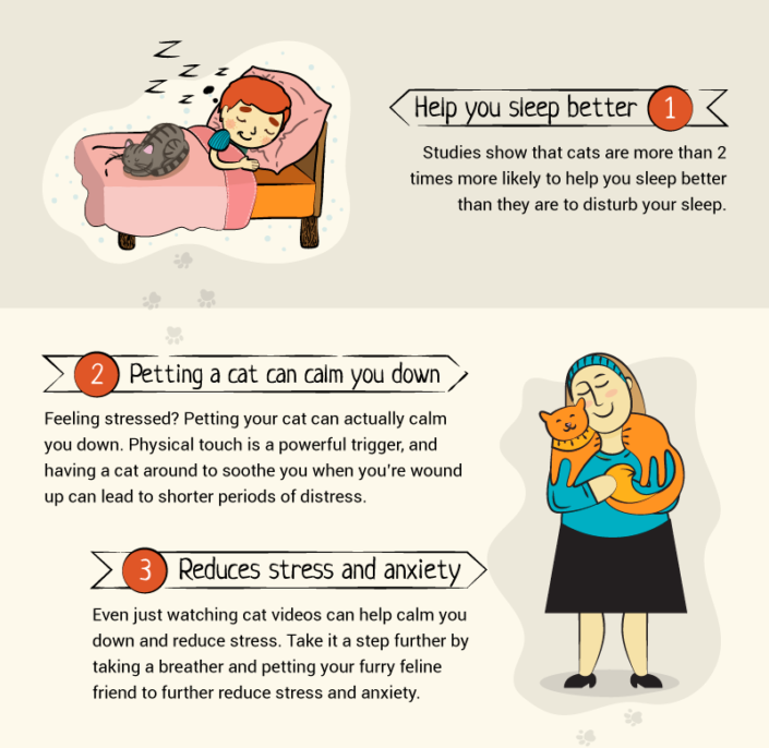 22 Ways Cats Make Humans Happier And Healthier | HealthyPets Blog