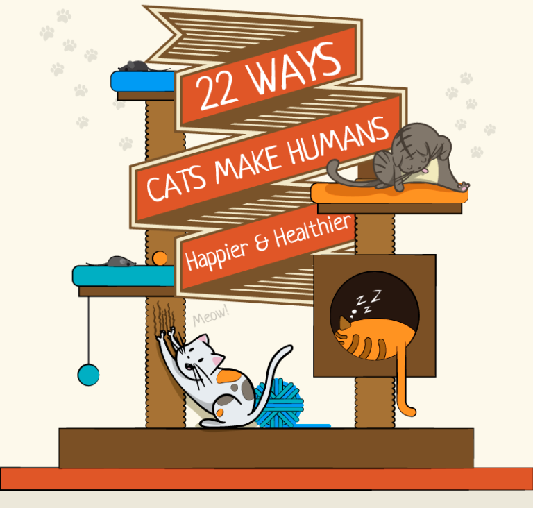 22 Ways Cats Make Humans Happier And Healthier | HealthyPets Blog
